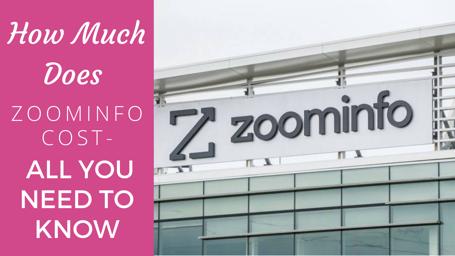 How Much Does ZoomInfo Cost All You Need To Know How Much Does ZoomInfo Cost All You Need To Know